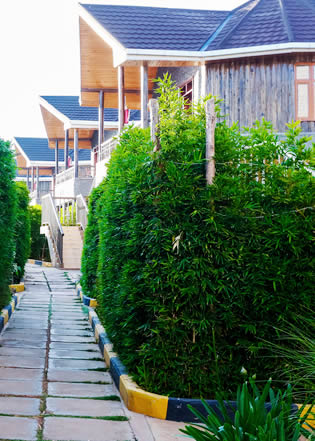 Team Building Kenya, Team Building Venue and Grounds in Kenya, Team ...